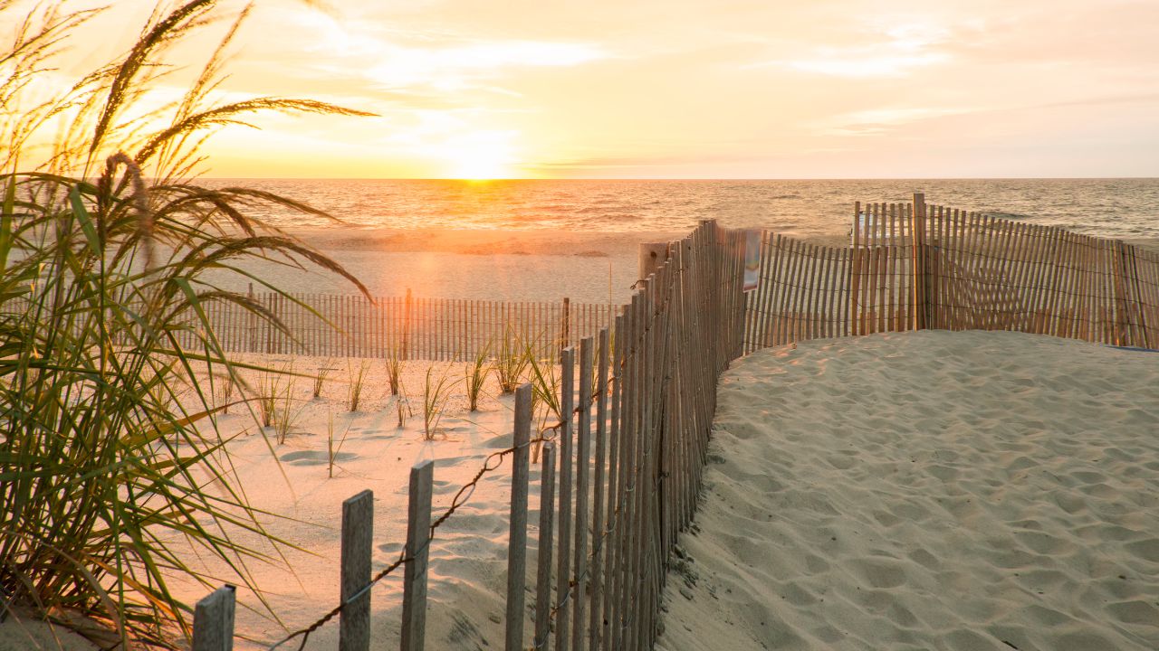 Explore Delaware: Coastal Towns, Historic Landmarks, Outdoor Adventure ...